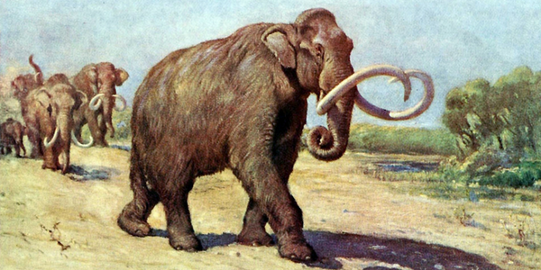 Atlas of a Lost World | Lawrence Public Library